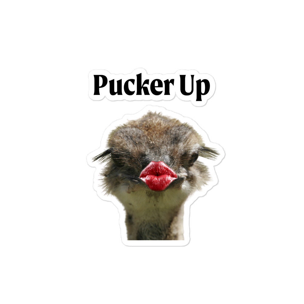 Emu Sticker, Emu Pucker up Sticker, Funny Stickers, Animal Sticker ...