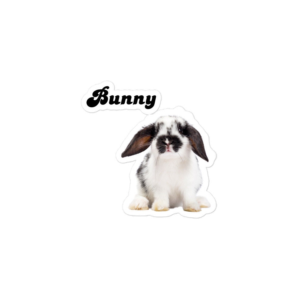 Bunny Sticker, Funny Stickers, Animal Sticker, Stickers, Laptop Sticker ...