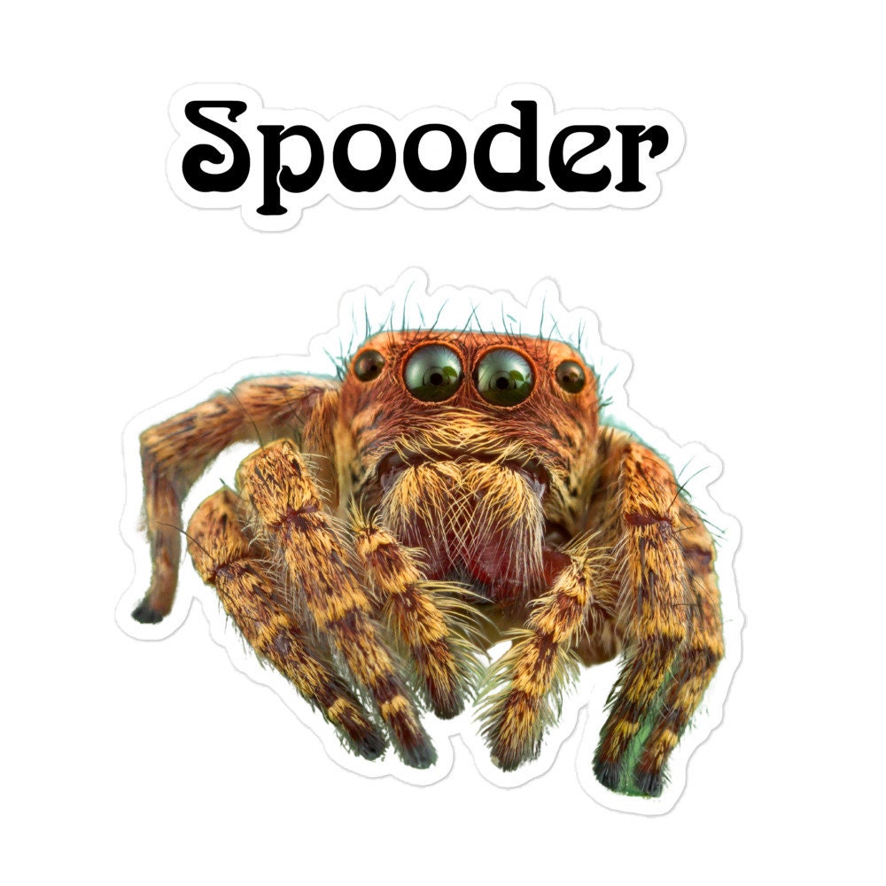 Jumping Spider Stickers, Spooder Sticker, Spider Stickers, Regal ...