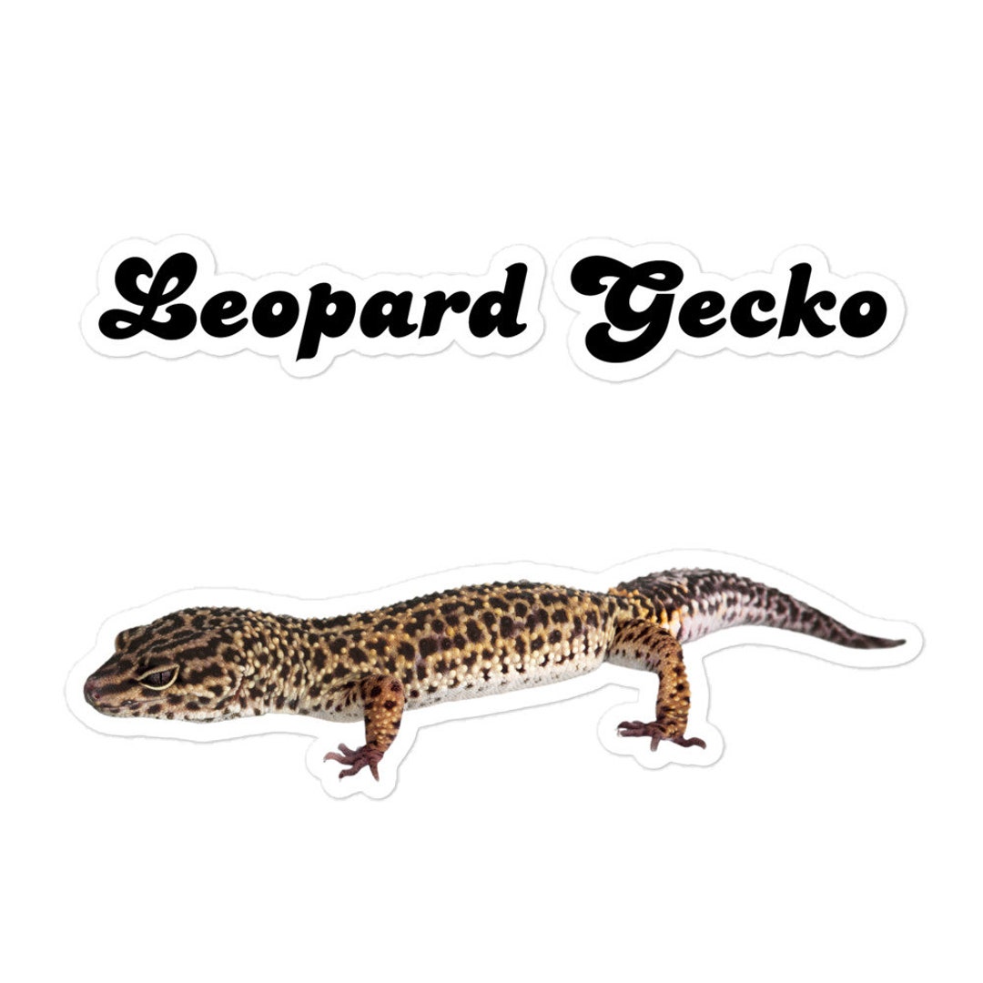 Leopard Gecko Stickers, Funny Stickers, Animal Sticker, Laptop Sticker ...