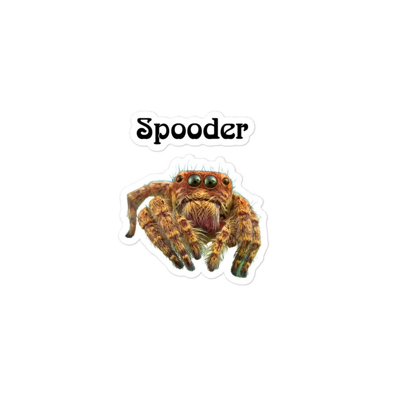 Jumping Spider Stickers, Spooder Sticker, Spider Stickers, Regal ...
