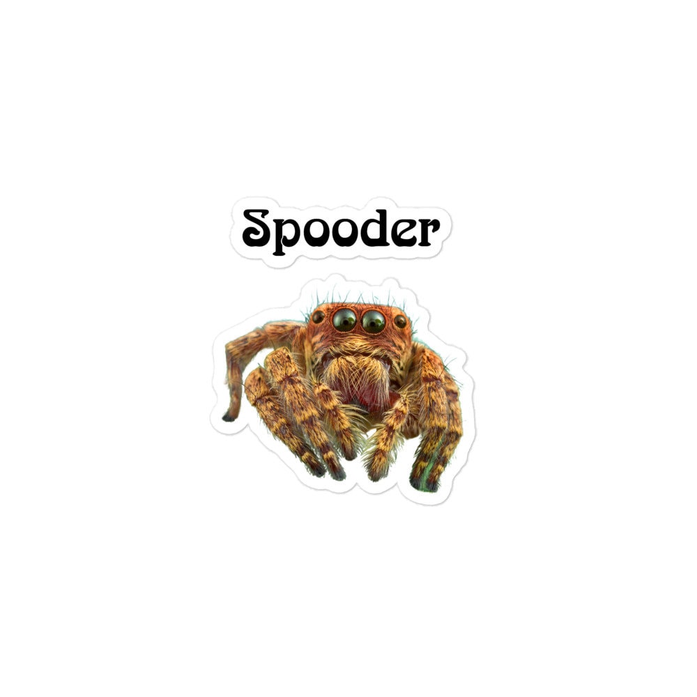 Jumping Spider Stickers, Spooder Sticker, Spider Stickers, Regal ...
