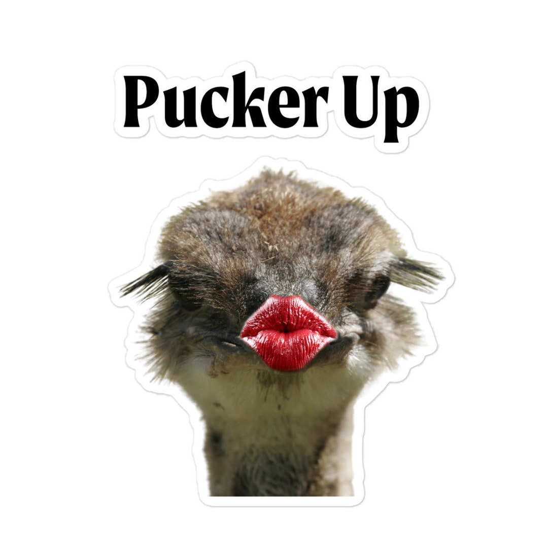Emu Sticker, Emu Pucker up Sticker, Funny Stickers, Animal Sticker ...