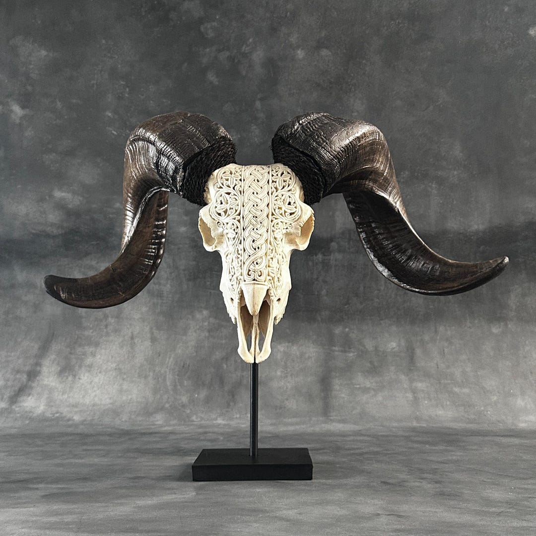 Hand-carved Ram Skull: Infinity Motif, Bohemian Gothic Decor - Skull,a ...
