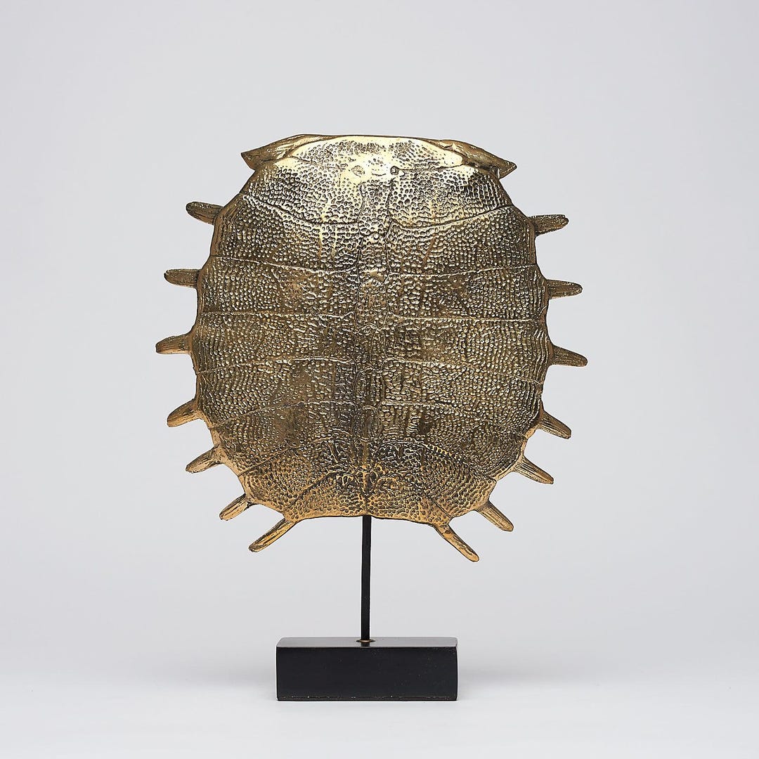 Polished Bronze Turtle Shell on Stand | Coastal Marine Decor | Nautical ...