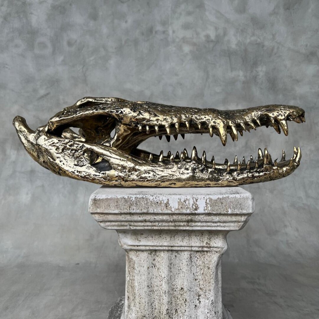 Bronze Crocodile Skull Sculpture | Realistic Gator Skull | Museum ...
