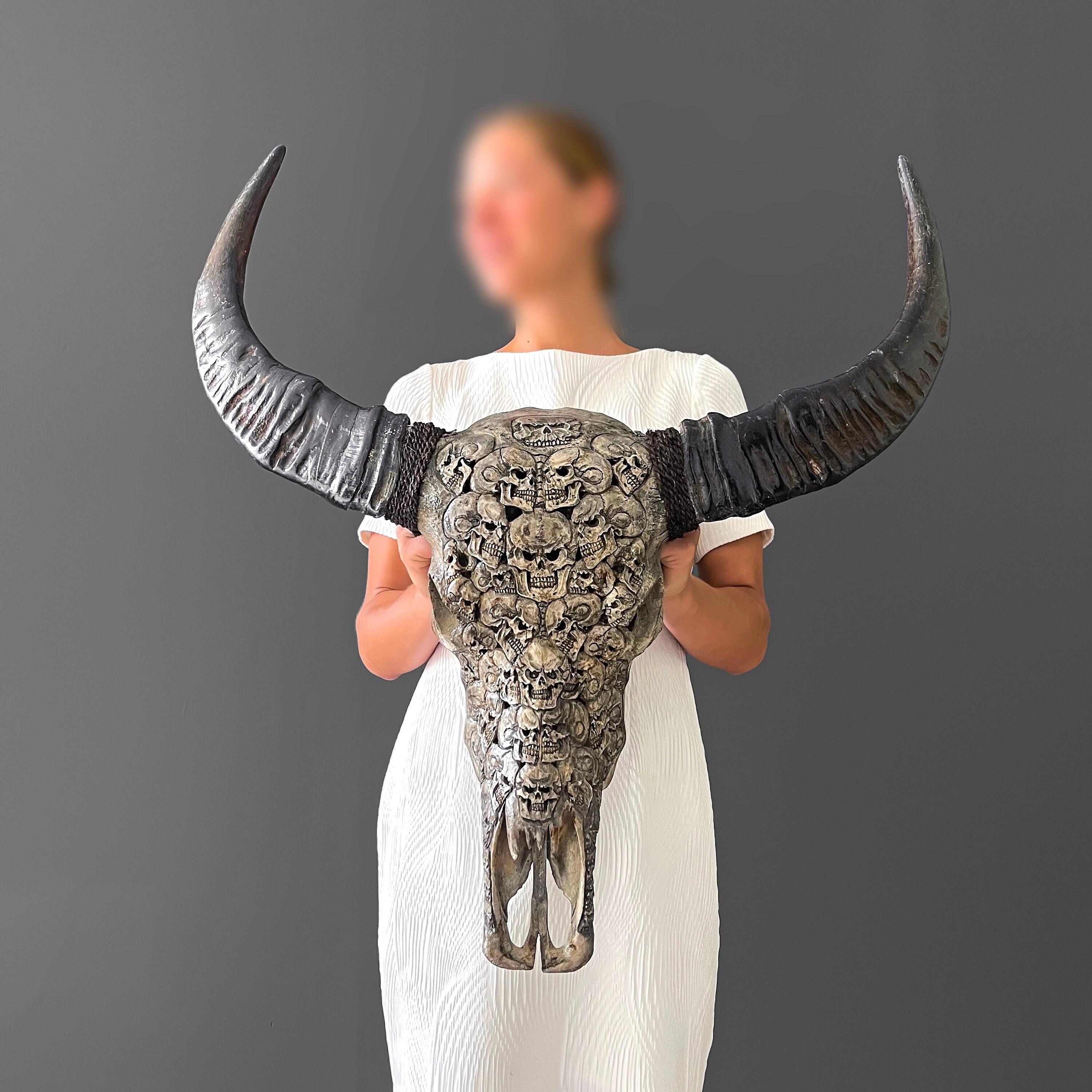 Ankole Watusi Skull