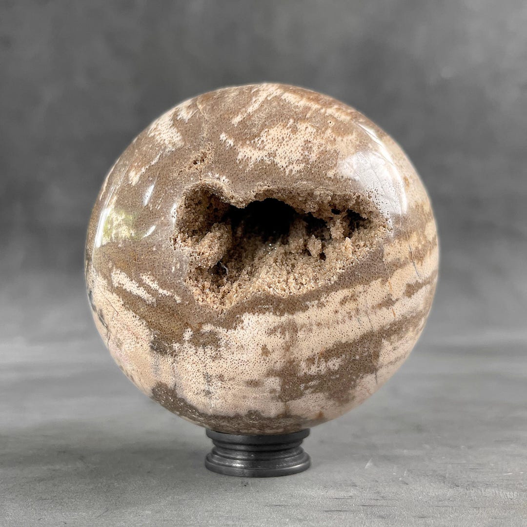 Petrified Palm Root Sphere on Stand | Unique Natural Stone | Crystal ...