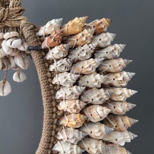 SN6 Decorative Shell Necklace on Custom Stand 6F/065 - Etsy