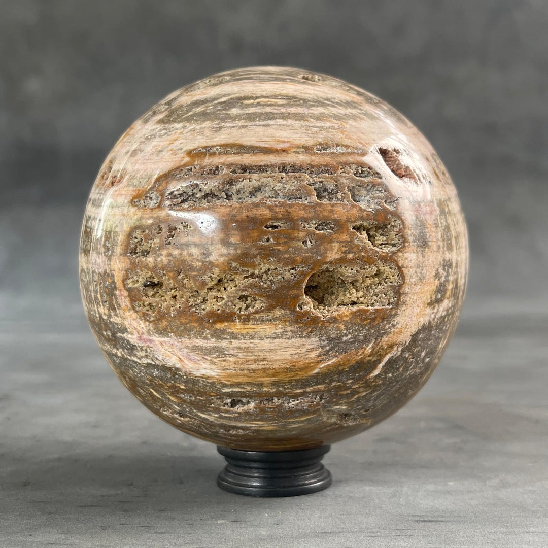Petrified Palm Root Sphere on Stand | Unique Natural Stone | Crystal ...
