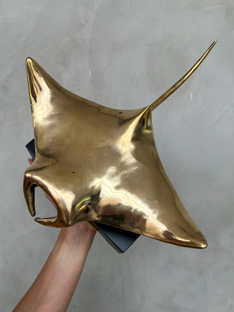 Manta Rays Are Brown