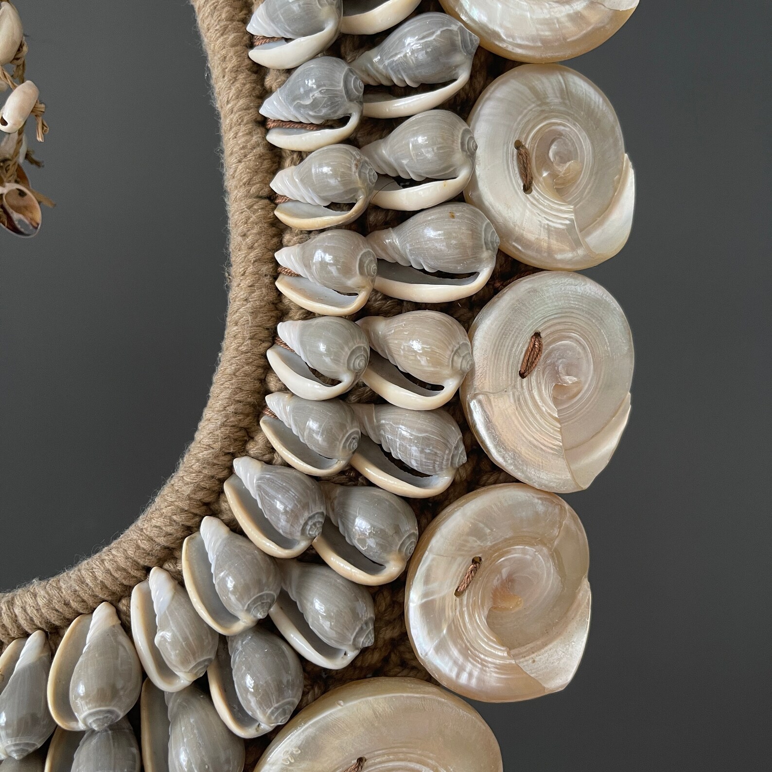 Decorative Shell Necklace on Custom Stand Shells & Natural - Etsy