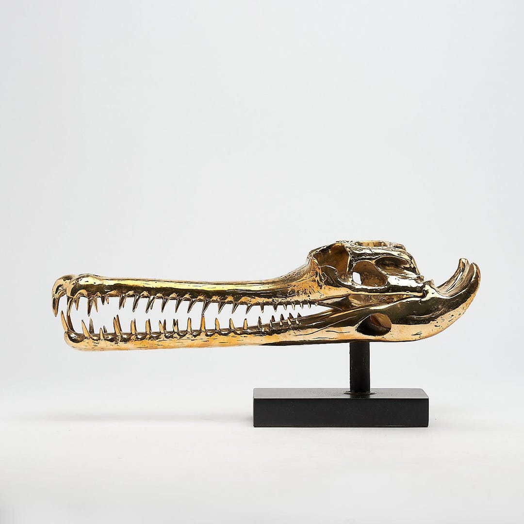 Gharial Skull Replica | Polished Bronze Crocodile Skull | Reptile ...