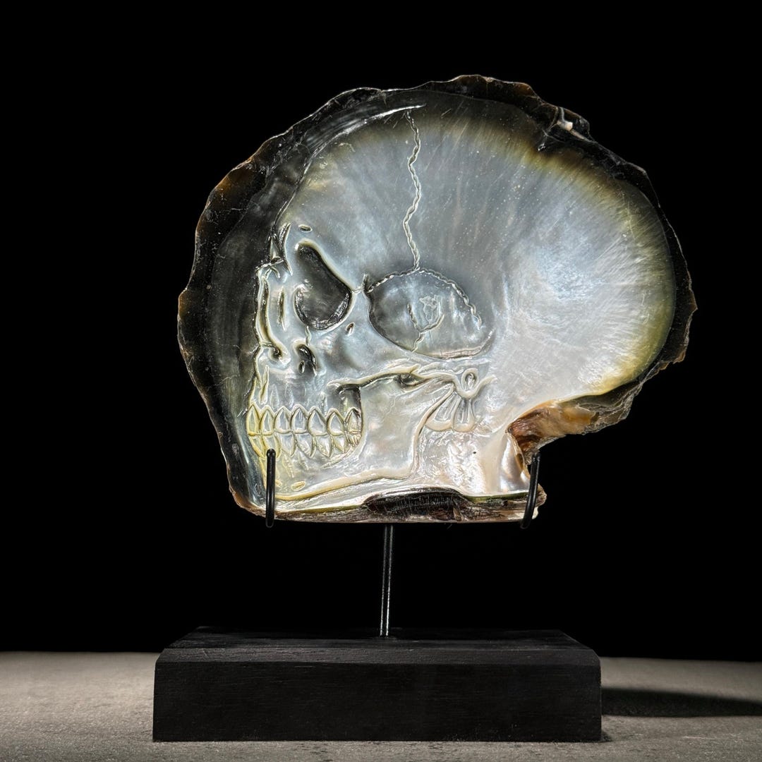 Mop Human Skull Human Skull Tos,a002 - Etsy