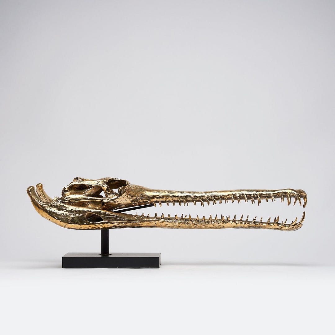 Extra Large Gharial Skull | Crocodile Skeleton | Bronze Alligator Skull ...