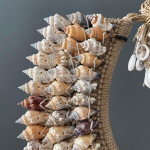 SN6 Decorative Shell Necklace on Custom Stand 6F/065 - Etsy