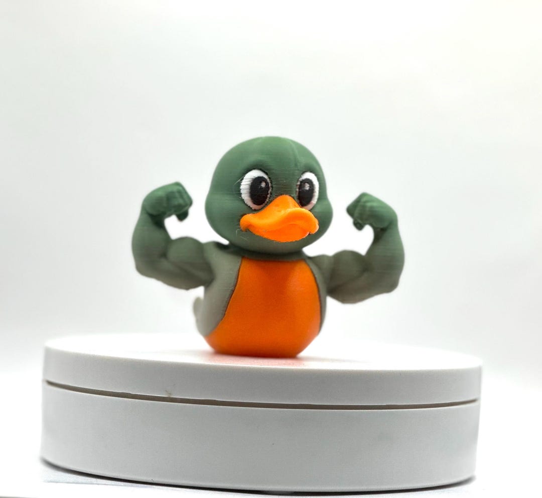 Duck With Muscles - 3D Digital File, Contains One STL File and One 3MF ...