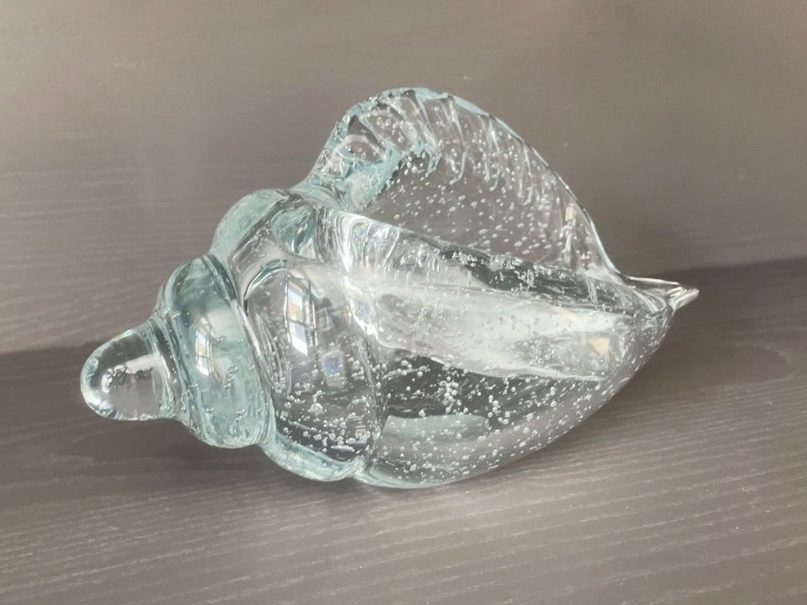 Handblown Transparent Conch Shell Art Glass Seashell | Etsy