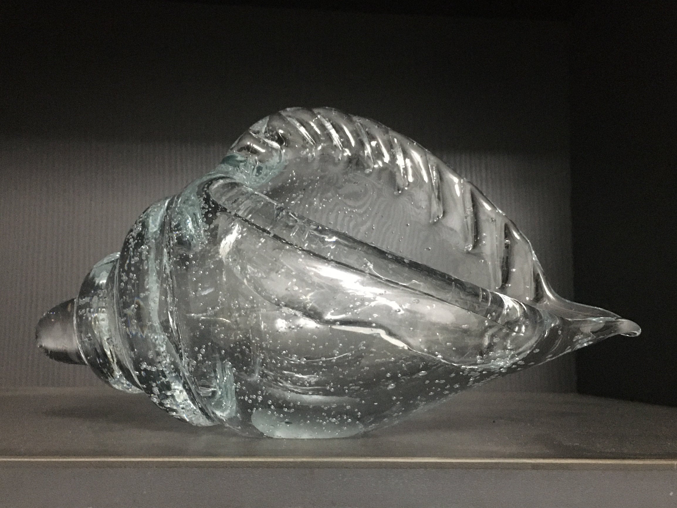 Handblown Transparent Conch Shell Art Glass Seashell - Etsy