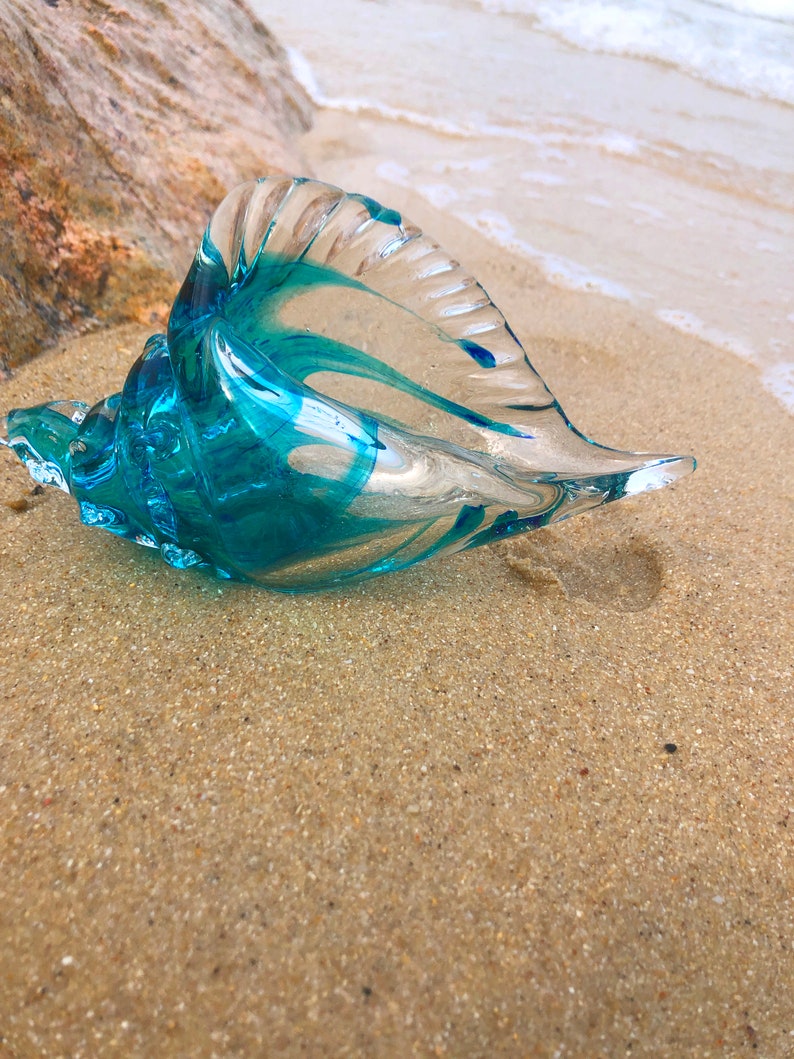 Blue Transparent Conch Shell Art Glass Sculptures Home Decor - Etsy