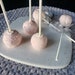 Beige Cake Pop Sticks 4 Flavors Gourmet Birthday - Etsy