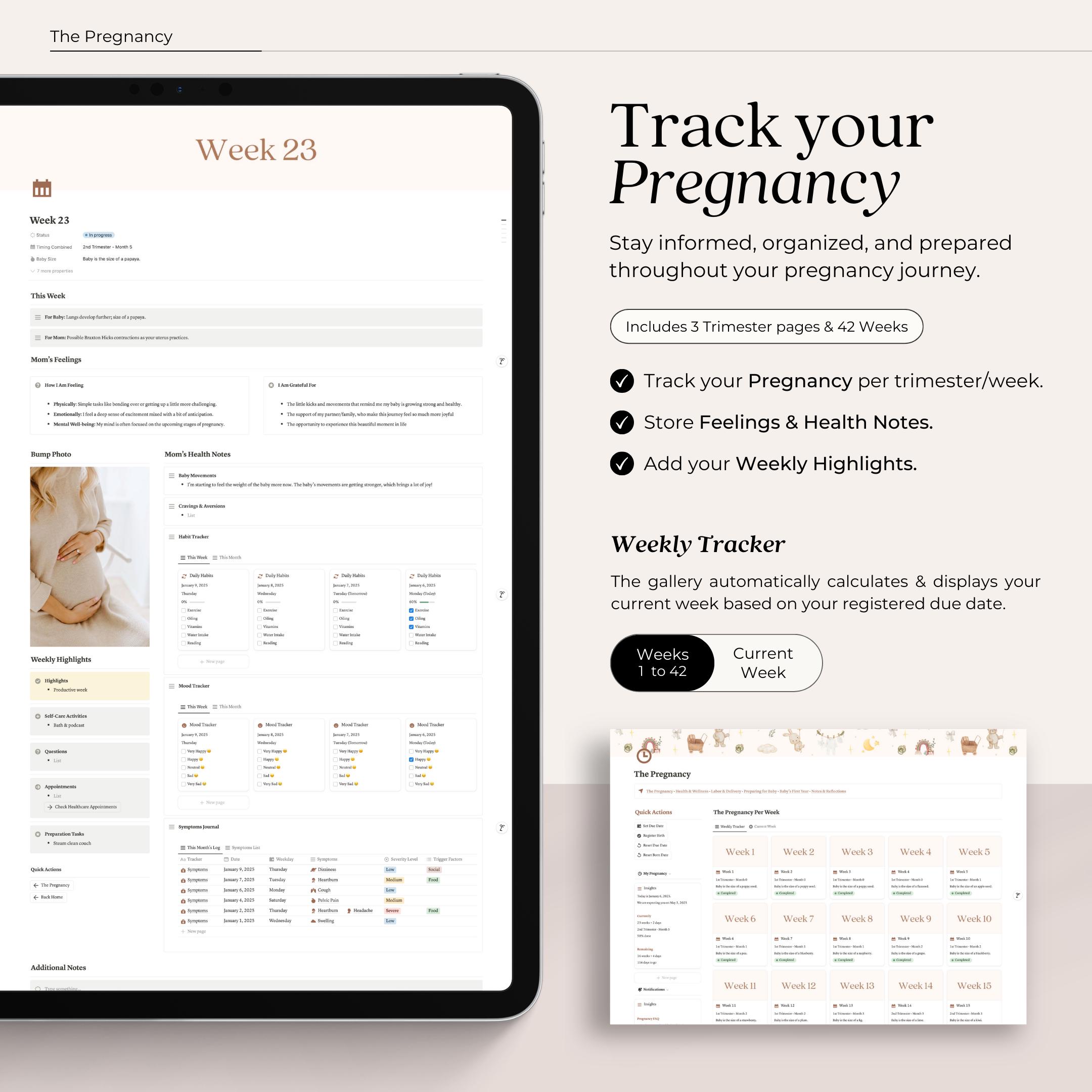 Pregnancy Planner Notion Template | Trimester Tracker & Baby's First ...