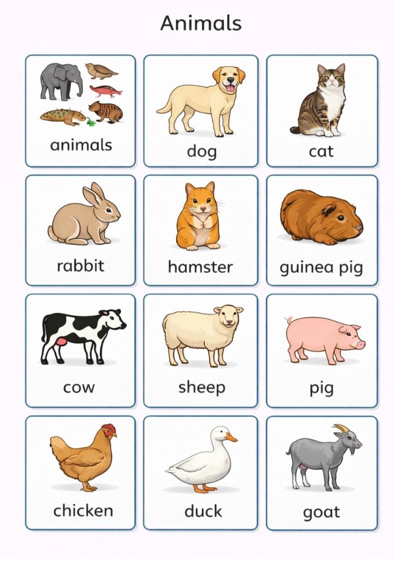 AAC Communication Book Bundle | Visual Supports for Autism & Speech ...