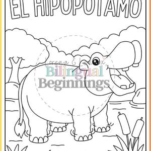 11 Zoo Animals Coloring Pages in Spanish - Etsy