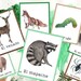 Forest Animals Printable Worksheets and Flash Cards in Spanish - Etsy