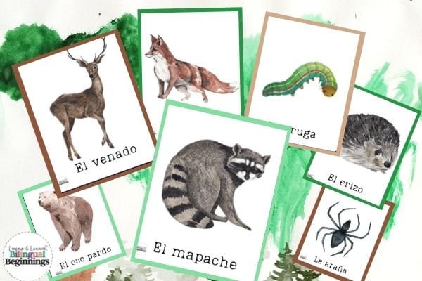 Forest Animals Printable Worksheets and Flash Cards in Spanish - Etsy
