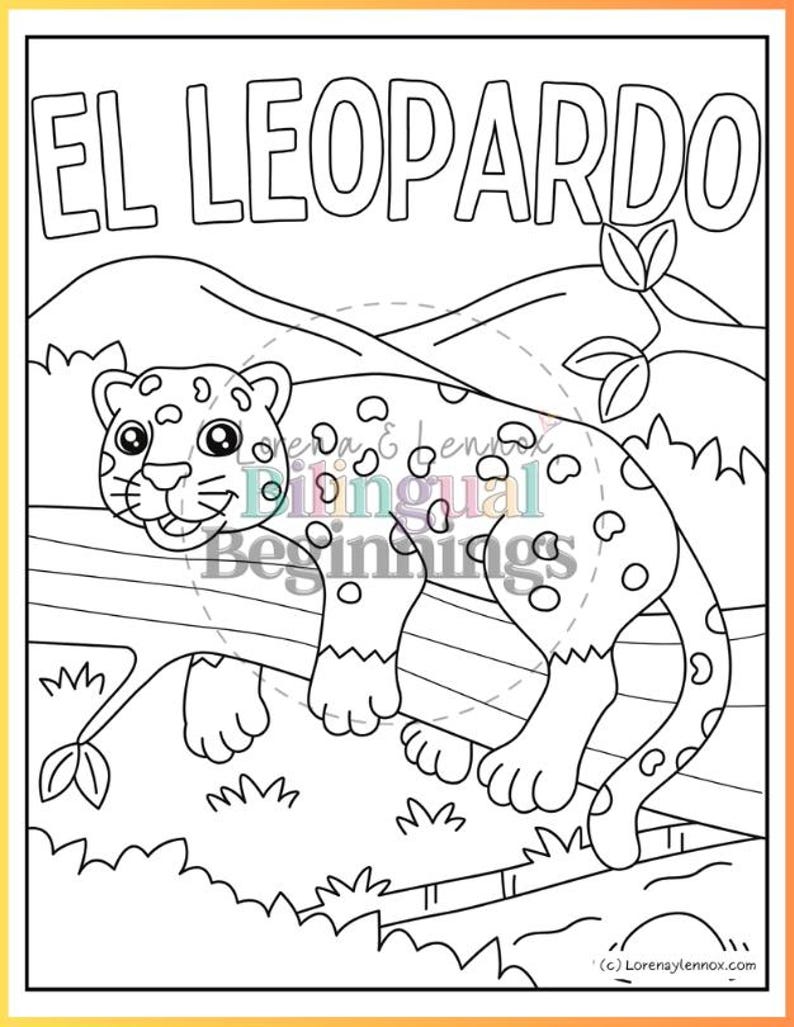 11 Zoo Animals Coloring Pages in Spanish - Etsy