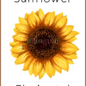 23 Bilingual Spanish/english Fall Flashcards - Etsy