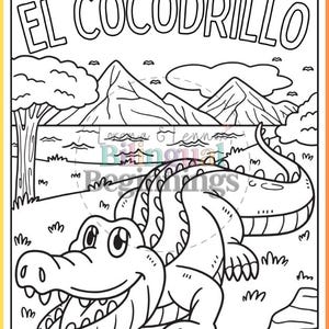 11 Zoo Animals Coloring Pages in Spanish - Etsy