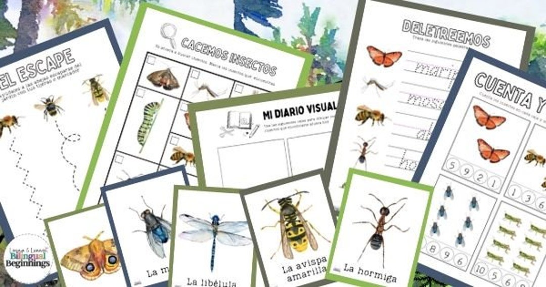 Bug Printable Workbook in Spanish - Etsy