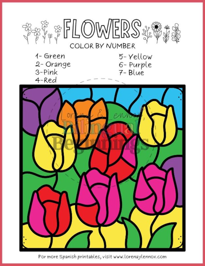 Flower Color by Number Coloring Pages in ENGLISH for Kids - Etsy