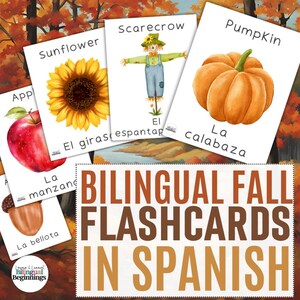 23 Bilingual Spanish/english Fall Flashcards - Etsy