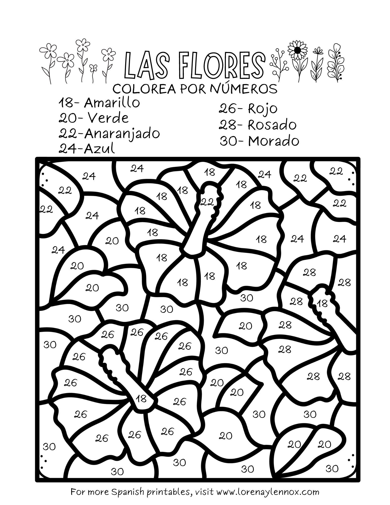 Flower Color by Number Coloring Pages in SPANISH - Etsy
