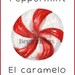 32 Bilingual Christmas Flashcards in Spanish - Etsy