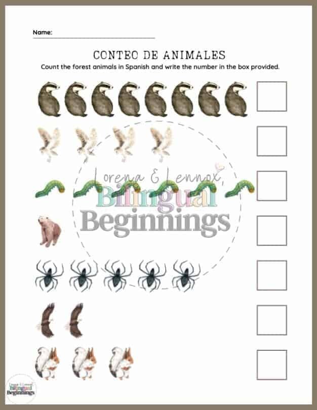 Forest Animals Printable Worksheets and Flash Cards in Spanish - Etsy