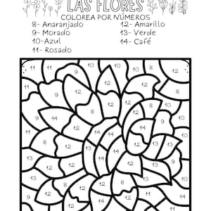 Flower Color by Number Coloring Pages in SPANISH - Etsy