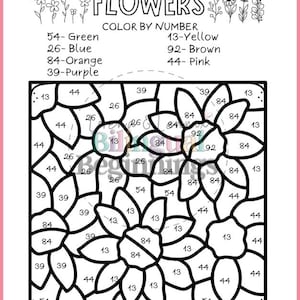 Flower Color by Number Coloring Pages in ENGLISH for Kids - Etsy