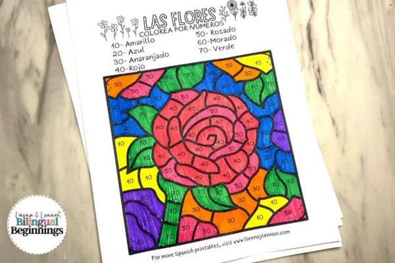 Flower Color by Number Coloring Pages in SPANISH - Etsy