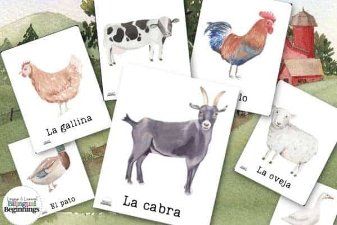 Farm Animal Flashcards in Spanish - Etsy