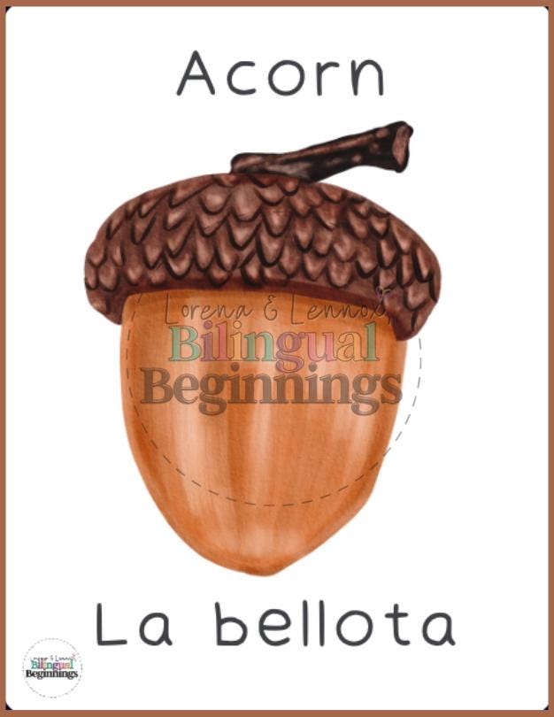 23 Bilingual Spanish/english Fall Flashcards - Etsy