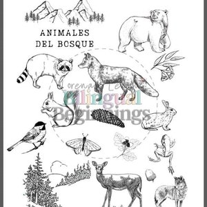 Forest Animals Printable Worksheets and Flash Cards in Spanish - Etsy
