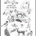 Forest Animals Printable Worksheets and Flash Cards in Spanish - Etsy