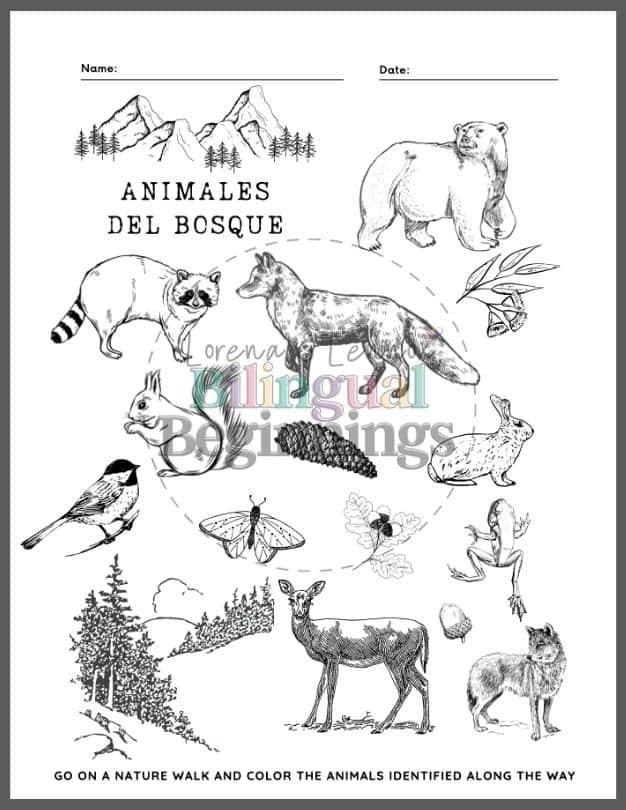 Forest Animals Printable Worksheets and Flash Cards in Spanish - Etsy