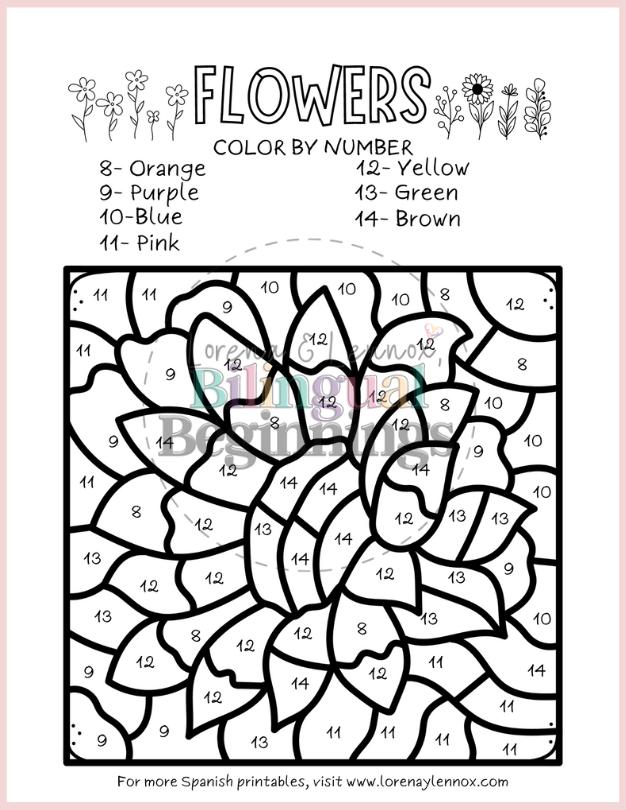 Flower Color by Number Coloring Pages in ENGLISH for Kids - Etsy