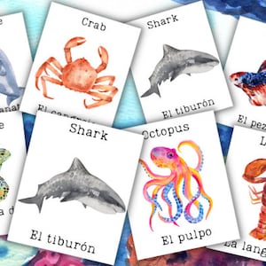 Ocean Animal Flashcards in Spanish - Etsy