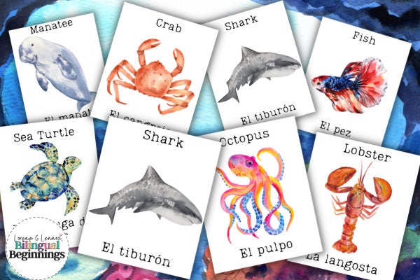 Ocean Animal Flashcards in Spanish - Etsy